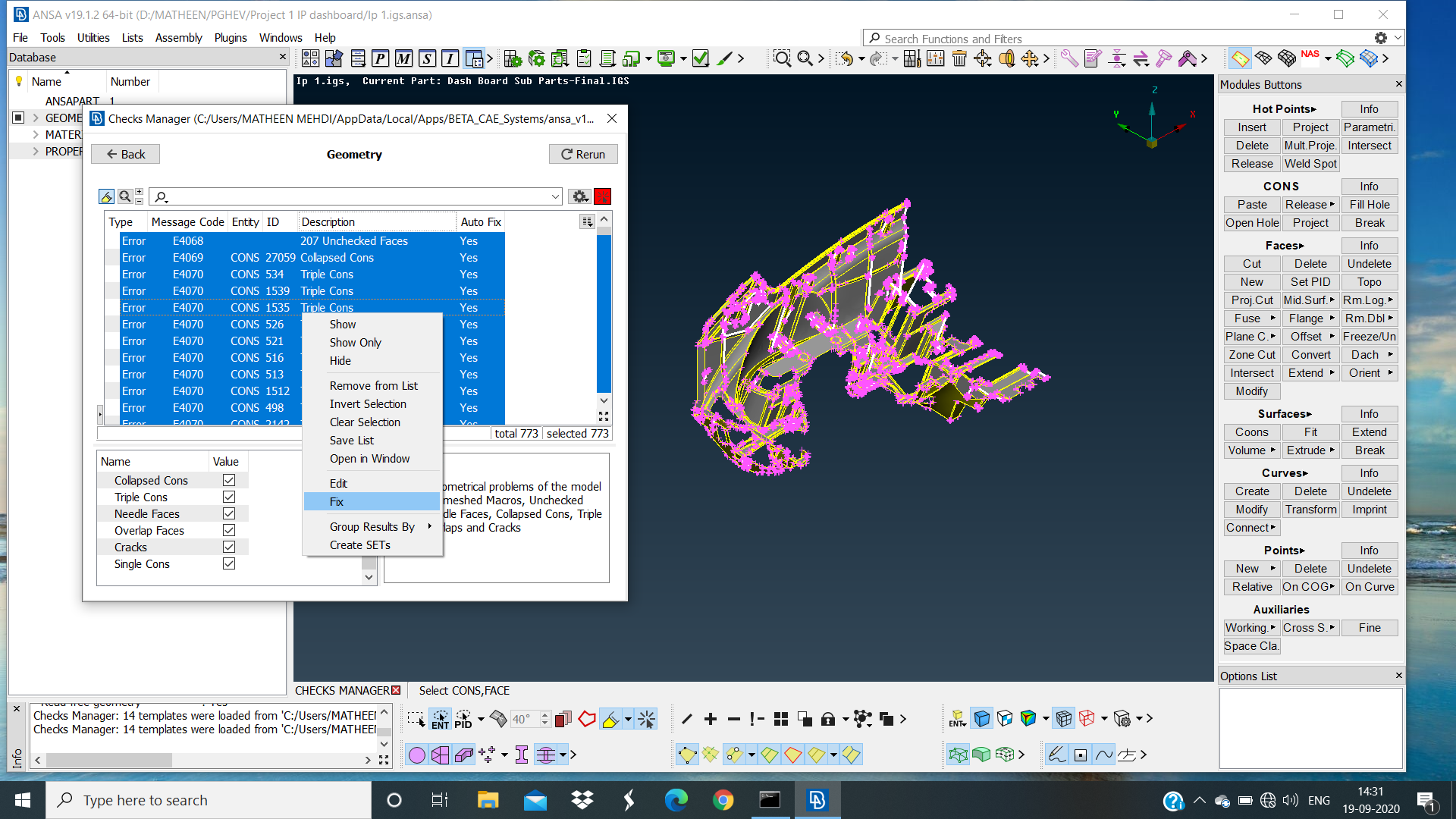 SHELL MESHING FOR A CAR INSTRUMENTAL PANEL/DASHBOARD : Skill-Lync