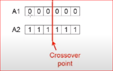 Genetic Algorithm in MATLAB to find GLOBAL Maxima using Stalagmite function : Skill-Lync