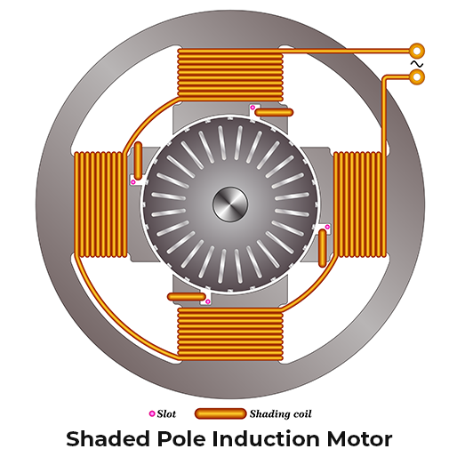 History of Single Phase Induction Motor: Its Construction, Working ...
