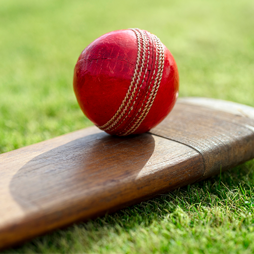 How Technological Advances Are Shaping the Game of Cricket? Skill-Lync ...